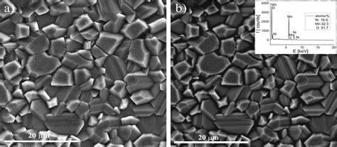 Scanning Electron Micrographs Sei A And Bse B Mode Of The Nmo