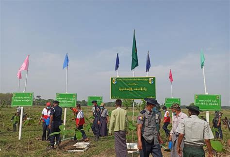 သဲကုန်းမြို့နယ်၌ ၂၀၂၃ ခုနှစ် မိုးရာသီအကြို သစ်ပင်စိုက်ပျိုးပွဲတော်ကျင