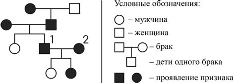 Задание №62922 По изображённой на рисунке родословной определите какова вероятность