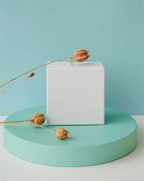 무료 이미지 자연스러운 구형 구운 식품 요리 설탕 케이크 단맛 미술 원 서브웨어 성분 착빙 패션 액세서리 식기류 복숭아 생일 케이크 케이크