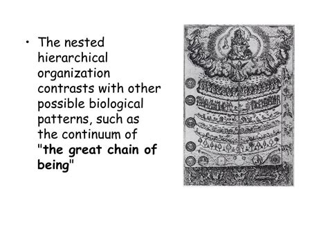 Ppt Hierarchical Structuring Of Trait Data Powerpoint Presentation