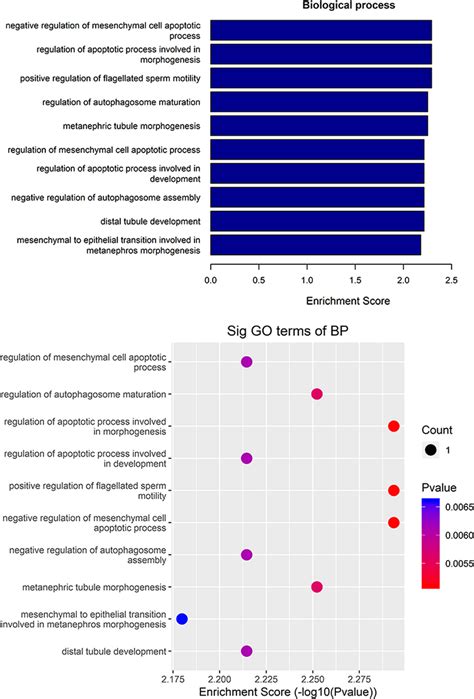 Significantly Enriched Gene Ontology Go Annotations Based On
