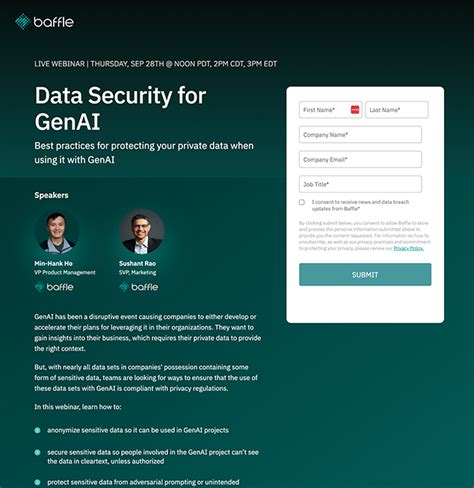 Data Protection For Ai Baffle