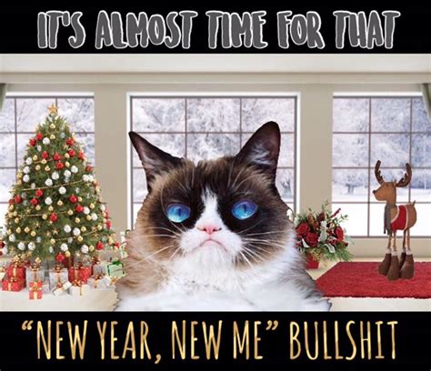 Grumpy Cat New Years 🎉🥂 🎩 Grumpy Cat Christmas Grumpy Cat Humor Grumpy Cat