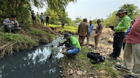 មិនមាន ពាក្យ « ចា៎ ក្នុង វចនានុក្រម ខ្មែរ ឡើយ