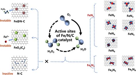 Active Sites Of Fenc‐based Catalysts For Oxygen Reduction Reaction Download Scientific Diagram