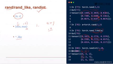 Pytorch学习笔记 python 三维矩阵 size 是第几维的大小 CSDN博客