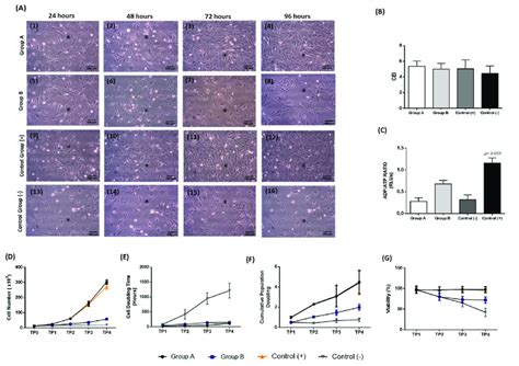 Evaluation Of CEC Characteristics Utilizing Different Experimental Download Scientific Diagram