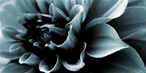 Libido 20 Sex Pharmaceuticals And Toys