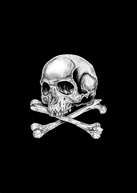 Pin Oleh Jason Jackson Di Skull Art Desain Grafis Gambar Tengkorak Pola Vektor