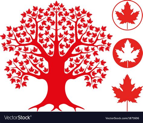 Maple Tree Royalty Free Vector Image VectorStock