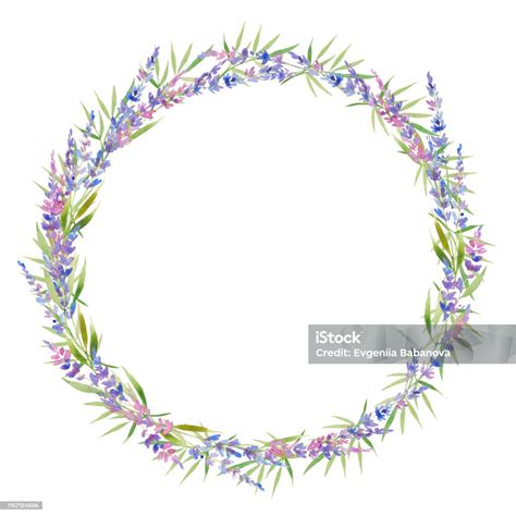 꽃의 수채화 라벤더 화환 원 꽃 프로방스 스타일 디자인 흰색 배경에 고립 된 손으로 그린 필드 꽃 꽃 무늬 꽃 나무에 대한 스톡 벡터 아트 및 기타 이미지 Istock