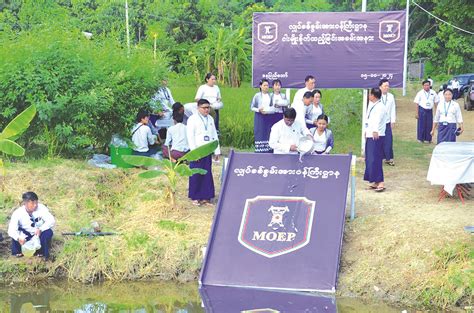 လျှပ်စစ်စွမ်းအားဝန်ကြီးဌာန ငါးမျိုးစိုက်ထည့်ခြင်းနှင့် စိုက်ပျိုးပြီး ရတနာတန်းဝင်ကျွန်းပင်များ