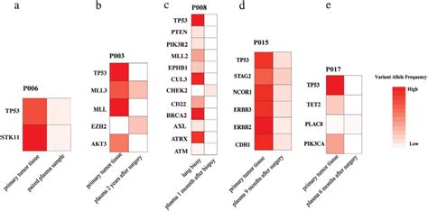 Somatic Mutations Detected In Synchronous And Asynchronous Tumor Tissue
