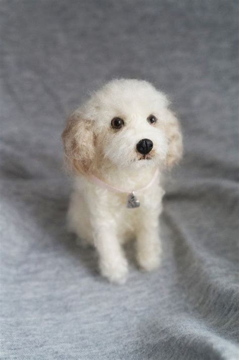 Needle Felted Cockapoo Custom Pet Portrait By Janetsneedlefelting