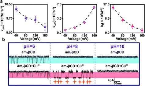 Nanopore Sensor For Copper Ion Detection Using A Polyamine Decorated β Cyclodextrin As The