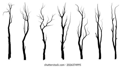 Set Black Branch Tree Naked Trees Stock Vector Royalty Free Shutterstock