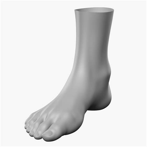 Realistic Human Foot3d模型 Turbosquid 2014420