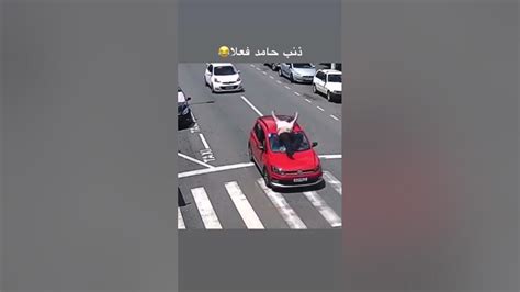 البانجو مش بتاعي 😂 Youtube