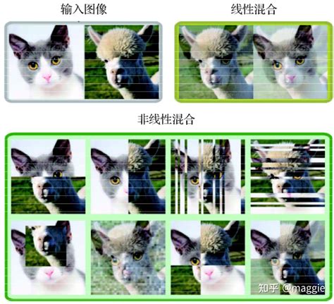 技术笔记 图像数据增广的常用方法总结 知乎
