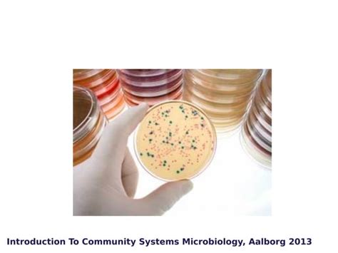 Amplicon Sequencing Introduction Pdf Biological Sciences Science