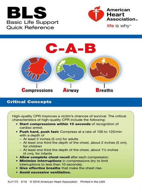 Bls Pdf Pdf Cardiopulmonary Resuscitation Traumatology