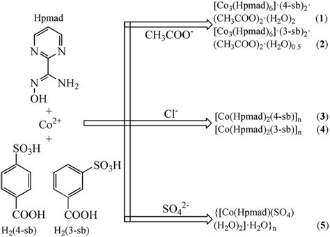 Schematic Showing The Anion Induced Structural Diversification Download Scientific Diagram