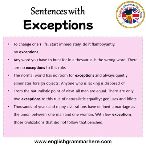 Sentences With Exceptions Exceptions In A Sentence In English