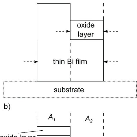 Model For The Solid State Dewetting Of Thin Bismuth Films With The Download Scientific Diagram