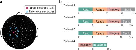 Experimental Configuration A Electrode Locations Used For Online Bci