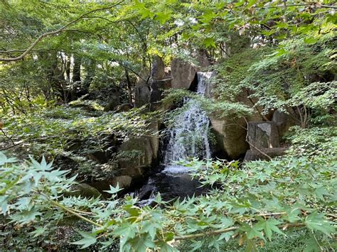 徳川園大曽根の滝辺り tukusi34のブログ