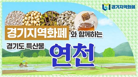 [경기도 특산물] 경기지역화폐와 함께하는 연천 특산물 youtube
