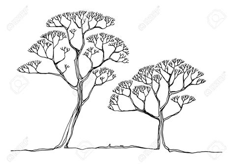 The Best Free Canopy Drawing Images Download From 90 Free Drawings Of Canopy At GetDrawings