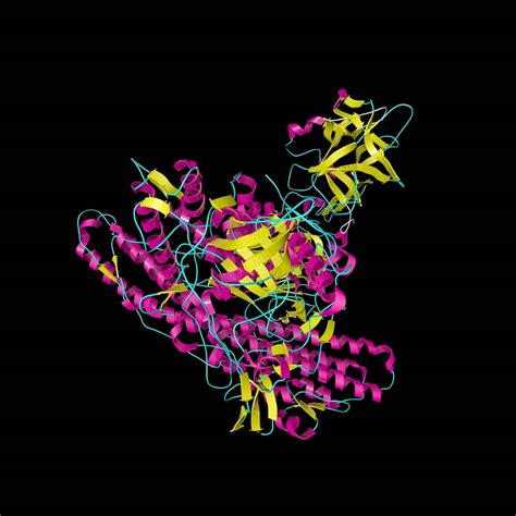 An Investigational Tetanus Toxin Based Sleep Disordered Breathing