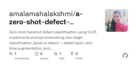 Github Amalamahalakshmia Zero Shot Defect Classification System