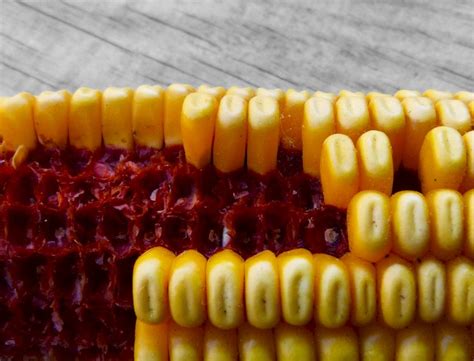 Top Interview Questions And Answers For Compute Platform Engineer