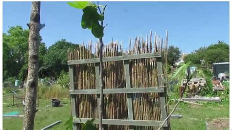 Completed Permaculture Plot Design Walkthrough Youtube