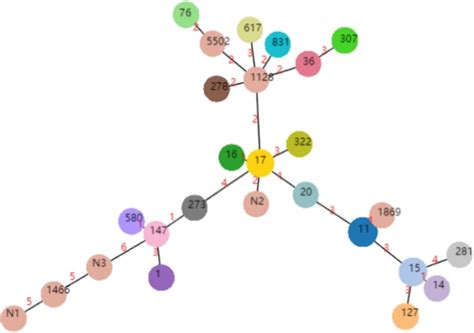 minimal spanning tree mst of crkp strains each circle corresponds to