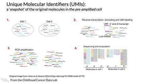 Chapter 13 Single Cell Rna Seq Choosing Genomics Tools