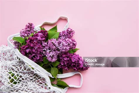 핑크 배경에 재사용 가능한 쇼핑 에코 메쉬 가방에 라일락의 꽃다발 개념 없음 플라스틱 제로 폐기물 복사 공간 상단 보기 템플릿 인사말 카드 엽서 초대 가방에 대한 스톡 사진