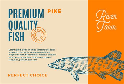 프리미엄 품질의 파이크 추상 벡터 물고기 포장 디자인 또는 라벨 현대 타이포그래피와 손으로 그린 파이크 실루엣 배경 레이아웃 강에 대한 스톡 벡터 아트 및 기타 이미지