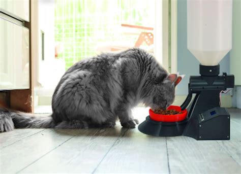 Felixmatic Automatically Feeds Your Cat At Preset Times Arduino Blog