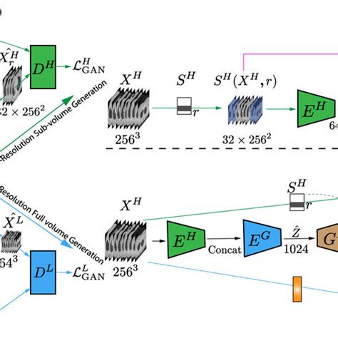 Left The Architecture Of Ha Gan Encoder Is Hidden Here To Improve Download Scientific Diagram