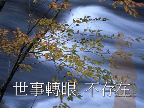 善歌 濟公活佛慈訓 針線情wmv Youtube