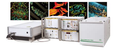 Fluorescence Lifetime Correlation Spectroscopy Flcs Picoquant