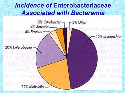 Introduction To Enterobacteriaceae Online Presentation