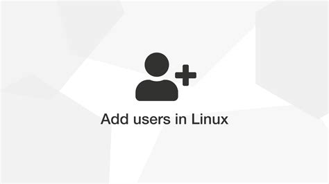 How To Create Users In Linux Using The Useradd Command Skillsugar