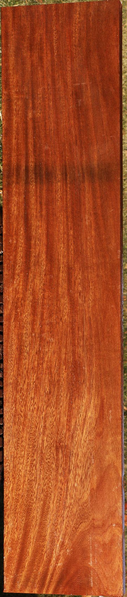 Santos Mahogany Lumber Cook Woods