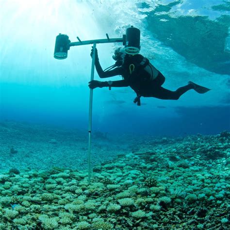 Igcse Marine Science Online And Home Tuition Tigercampus Singapore