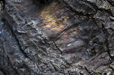 Visual Elements Lottie Simpkins GCSE Photography